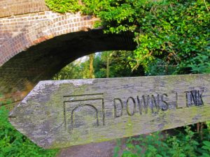 6 – Slinfold – 9km – Canicross Routes